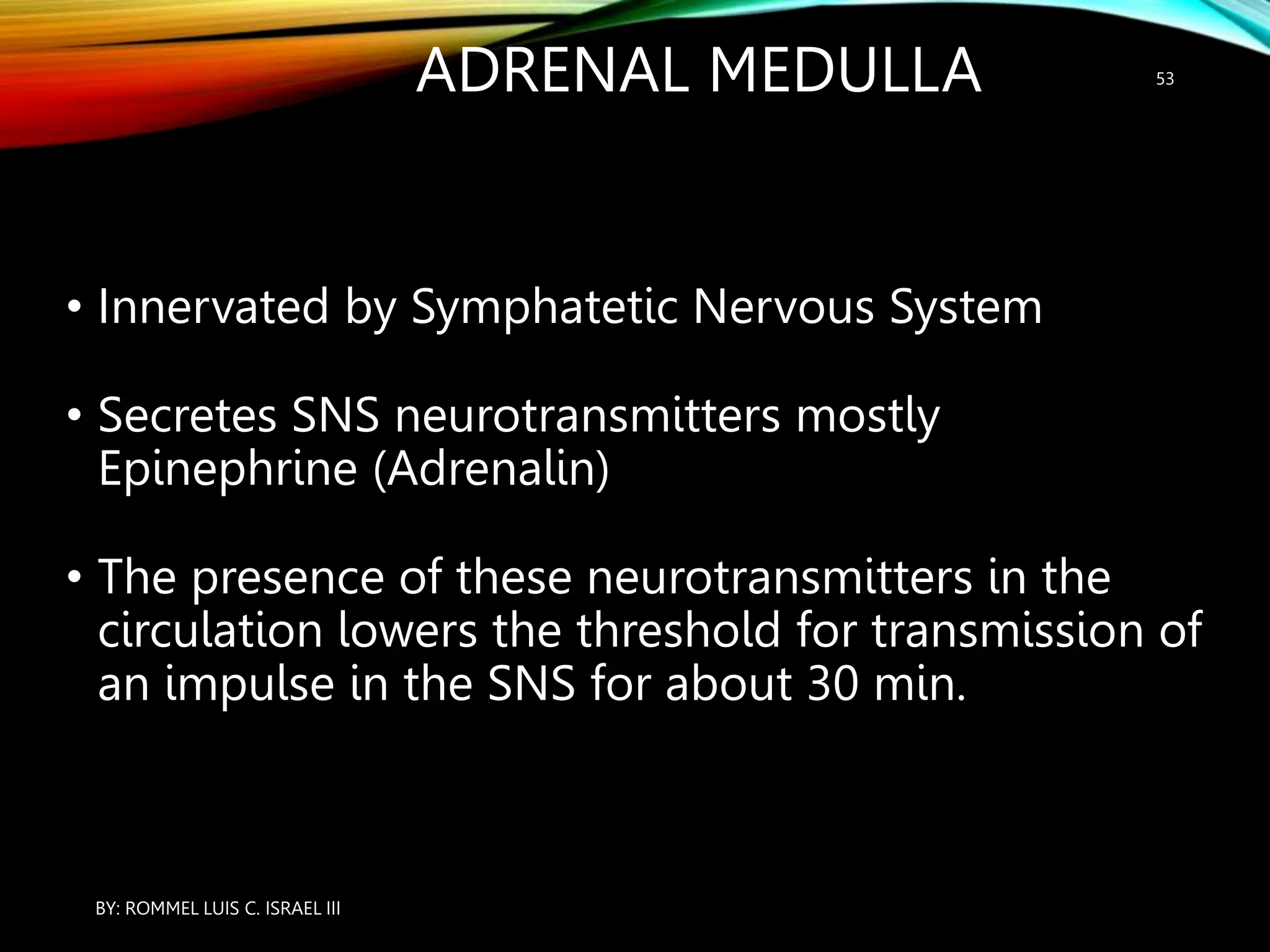 ENDOCRINE SYSTEM - ANATOMY AND PHYSIOLOGY | PPT