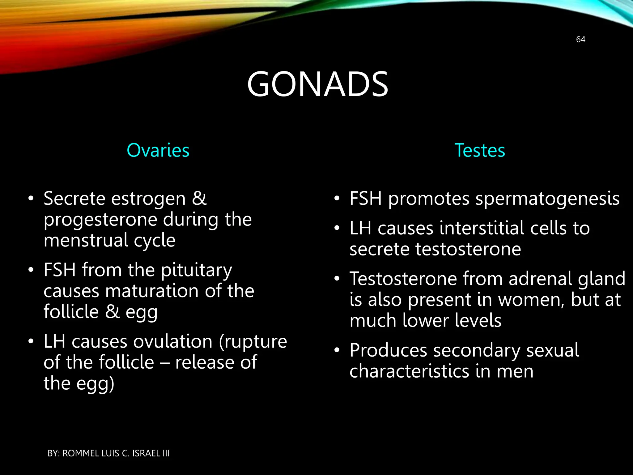 ENDOCRINE SYSTEM - ANATOMY AND PHYSIOLOGY | PPT