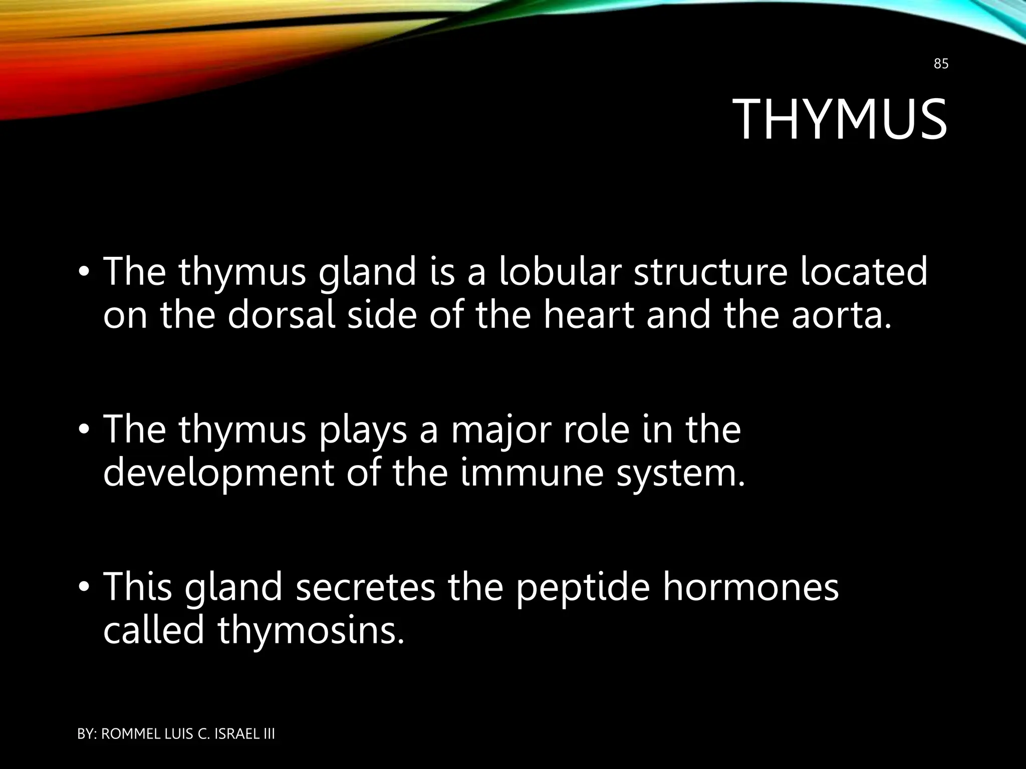ENDOCRINE SYSTEM - ANATOMY AND PHYSIOLOGY | PPT