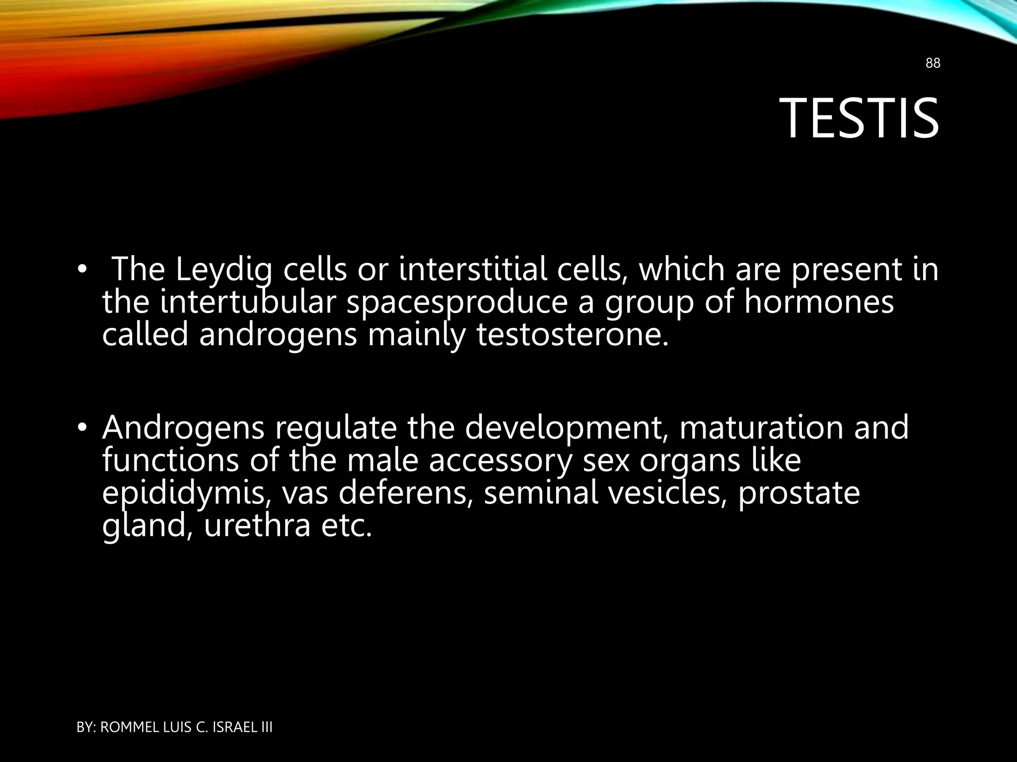 ENDOCRINE SYSTEM - ANATOMY AND PHYSIOLOGY | PPT