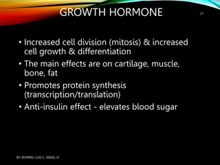ENDOCRINE SYSTEM - ANATOMY AND PHYSIOLOGY | PPT