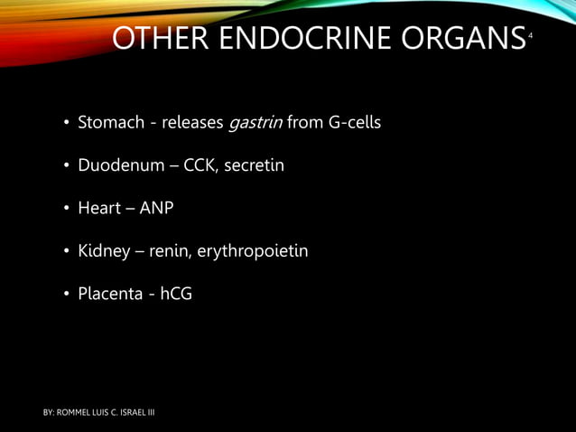 ENDOCRINE SYSTEM - ANATOMY AND PHYSIOLOGY | PPT