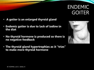 ENDOCRINE SYSTEM - ANATOMY AND PHYSIOLOGY | PPT