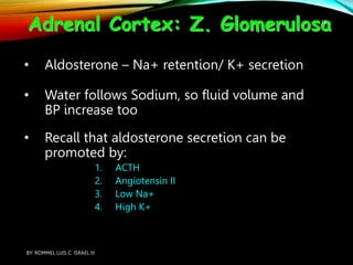 ENDOCRINE SYSTEM - ANATOMY AND PHYSIOLOGY | PPT