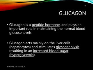 ENDOCRINE SYSTEM - ANATOMY AND PHYSIOLOGY | PPT