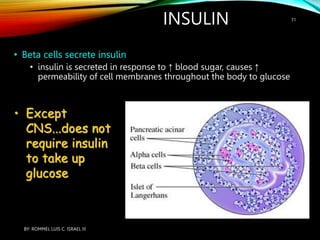 ENDOCRINE SYSTEM - ANATOMY AND PHYSIOLOGY | PPT