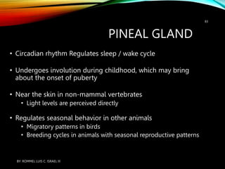 ENDOCRINE SYSTEM - ANATOMY AND PHYSIOLOGY | PPT