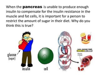 Organs of the Human Body by Dean Berry | PPTX