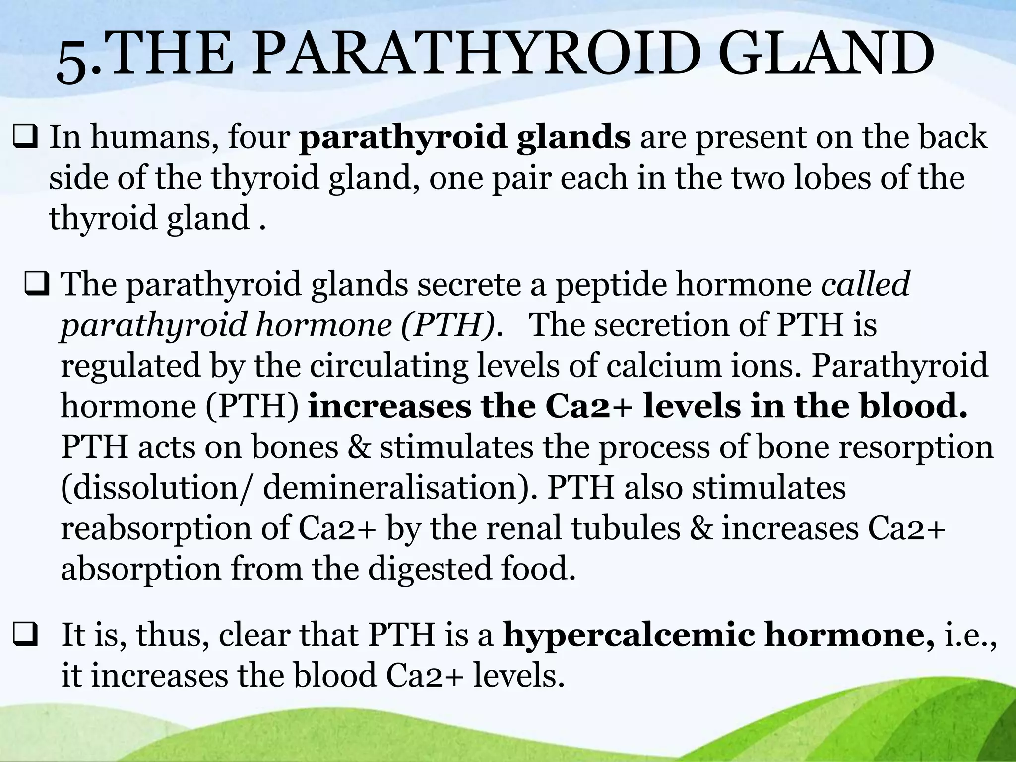 CHEMICAL COORDINATION AND ENDOCRINE SYSTEM BIOLOGY CLASS 11TH | PPTX