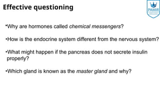 The human endocrine system-hormones ppt.pptx
