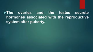 Endocrine system- Introduction | PPTX