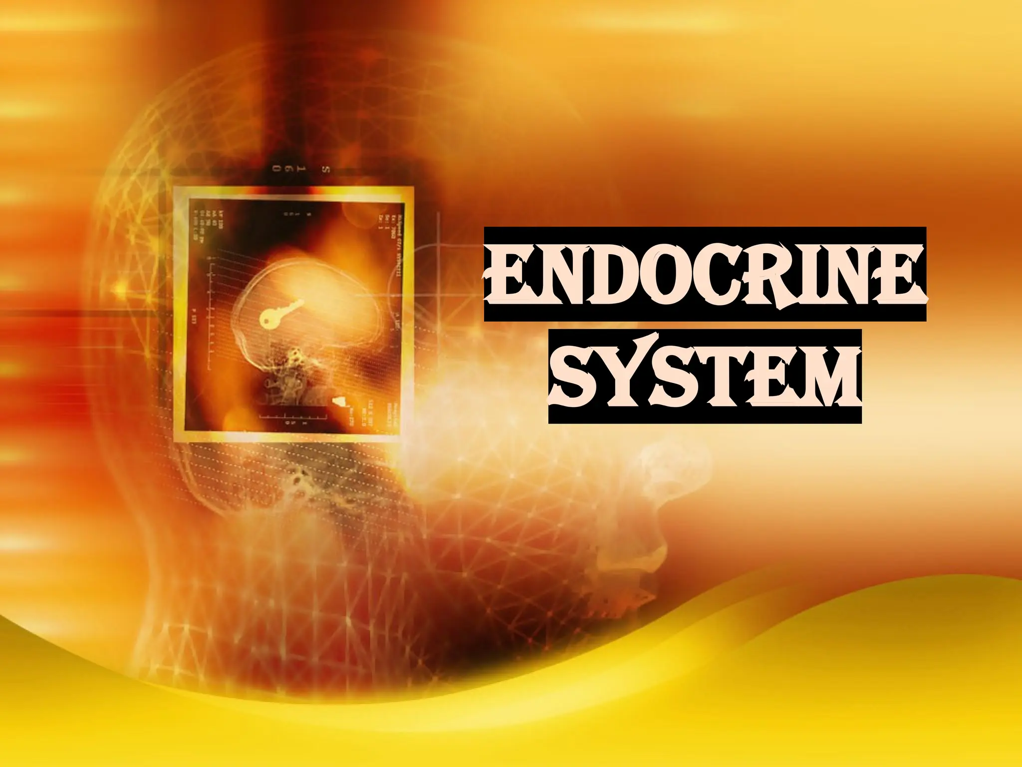 Basics of Endocrine System - Key Points.pptx
