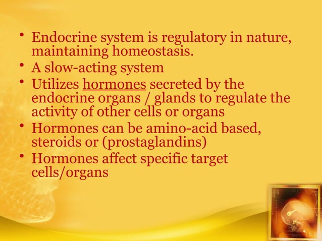 Basics of Endocrine System - Key Points.pptx