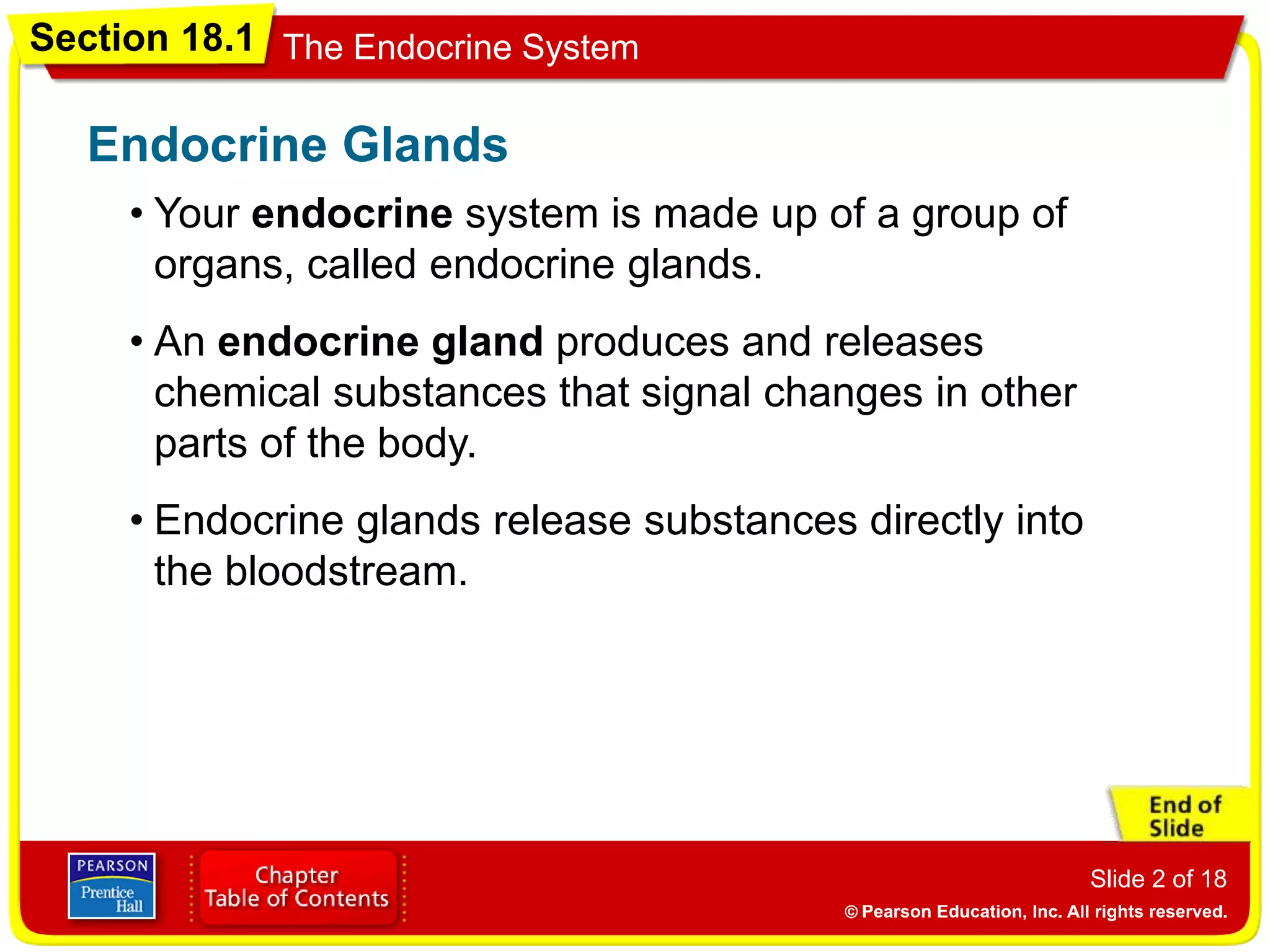 Endocrine System - Lesson 19.ppt