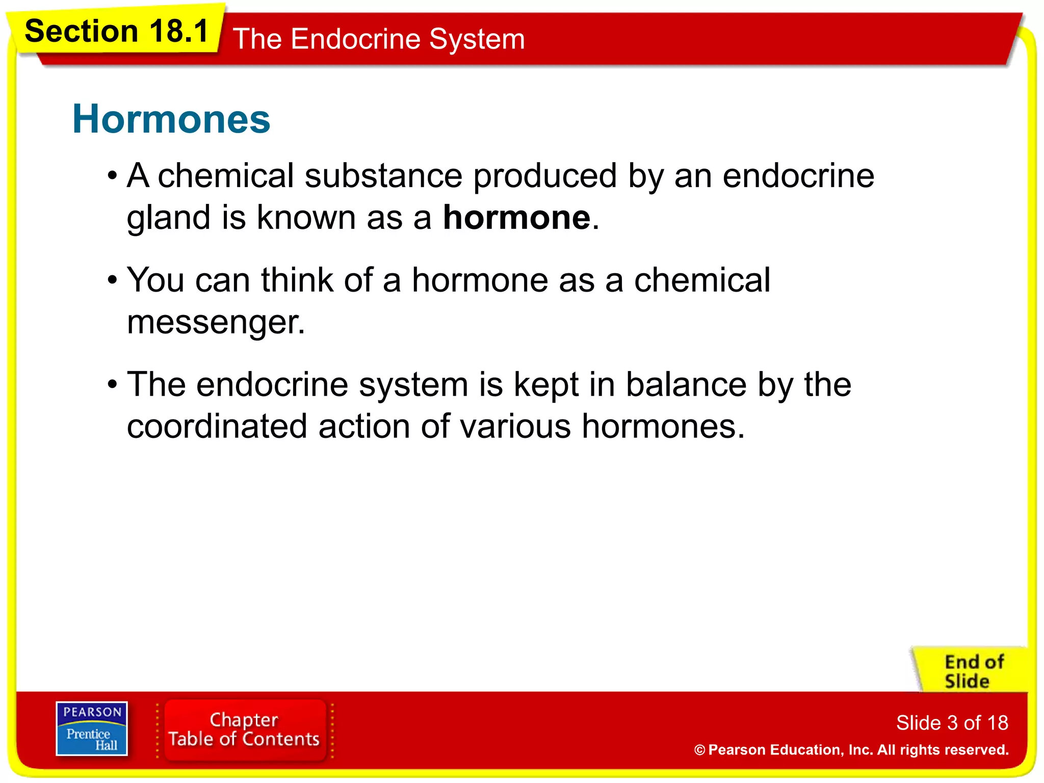 Endocrine System - Lesson 19.ppt
