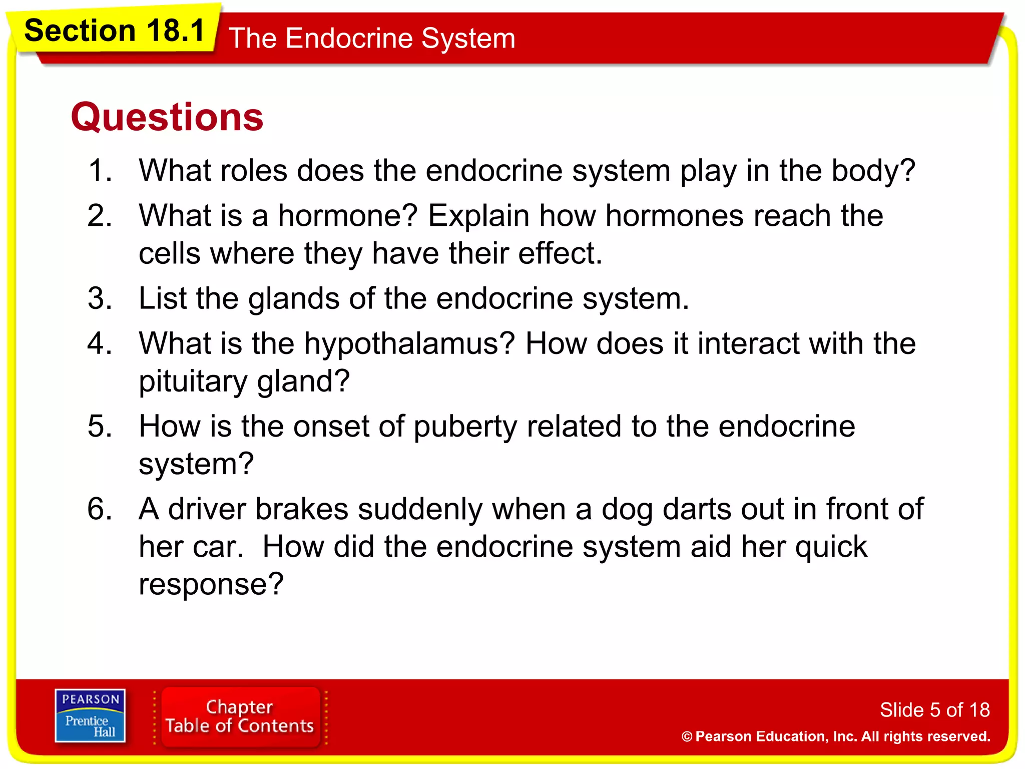 Endocrine System - Lesson 19.ppt