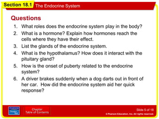 Endocrine System - Lesson 19.ppt