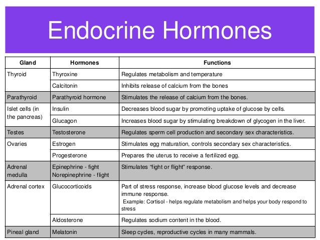 Hormones Hormones