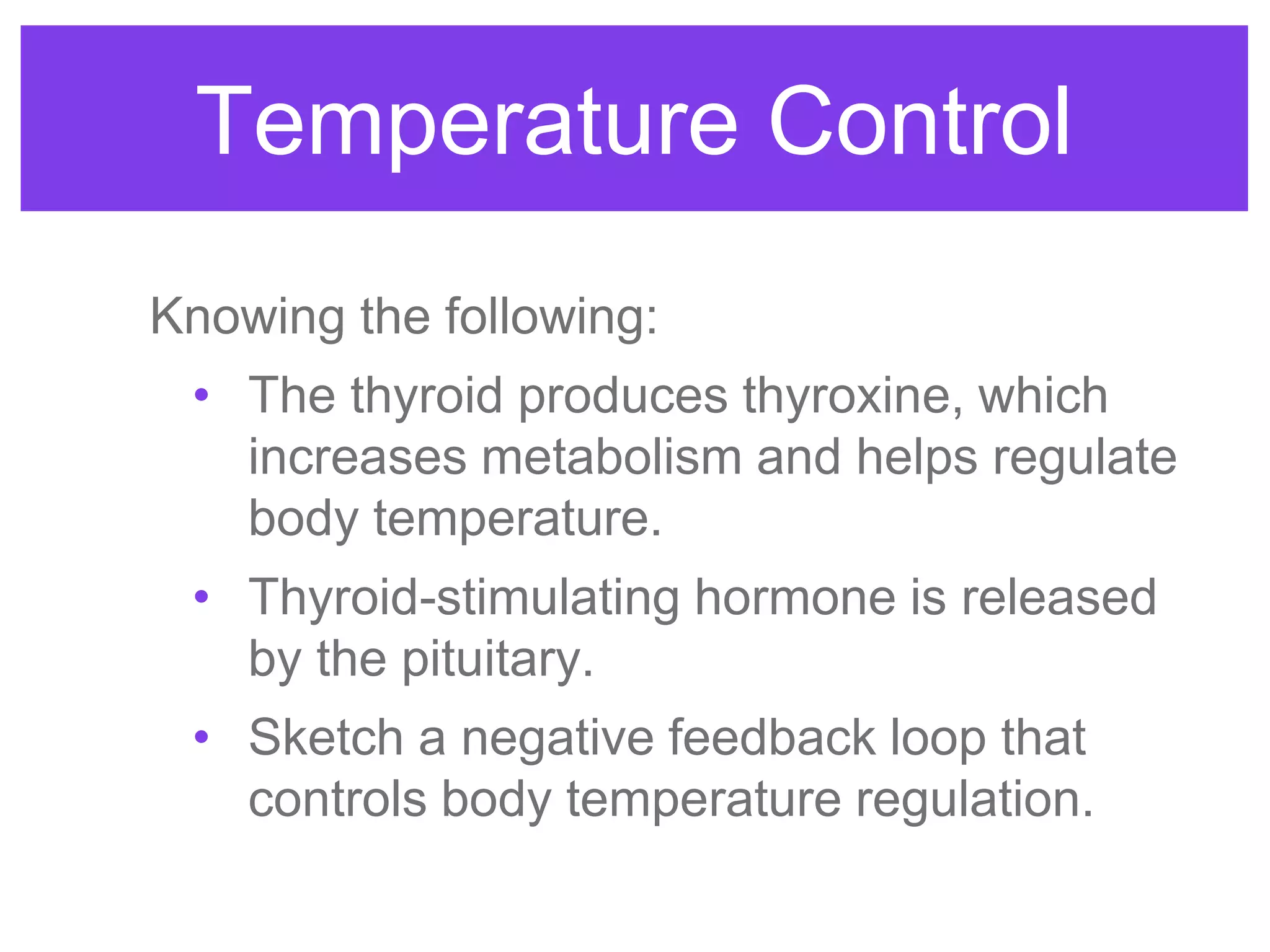 Endocrine system - feedback loops | PPTX