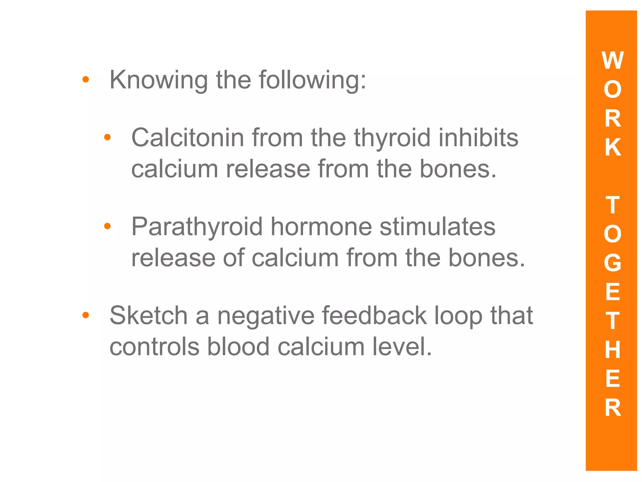 Endocrine system - feedback loops | PPTX