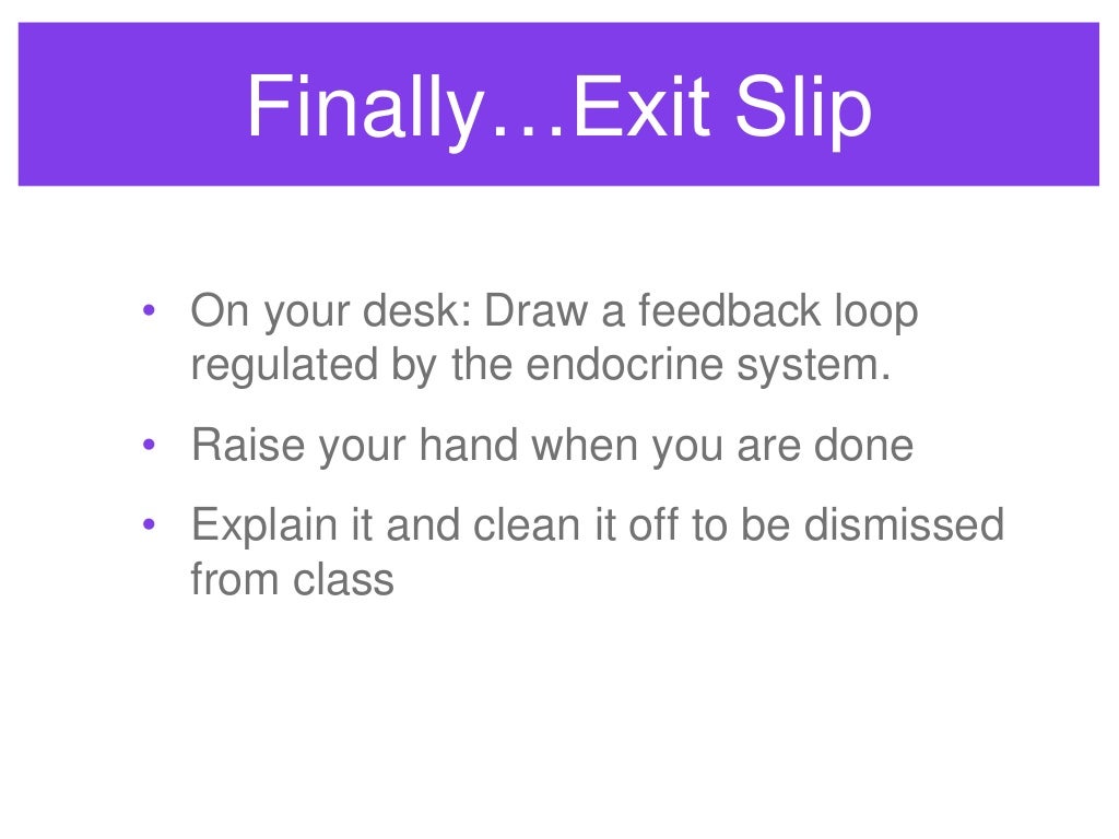 Endocrine System Feedback Loops