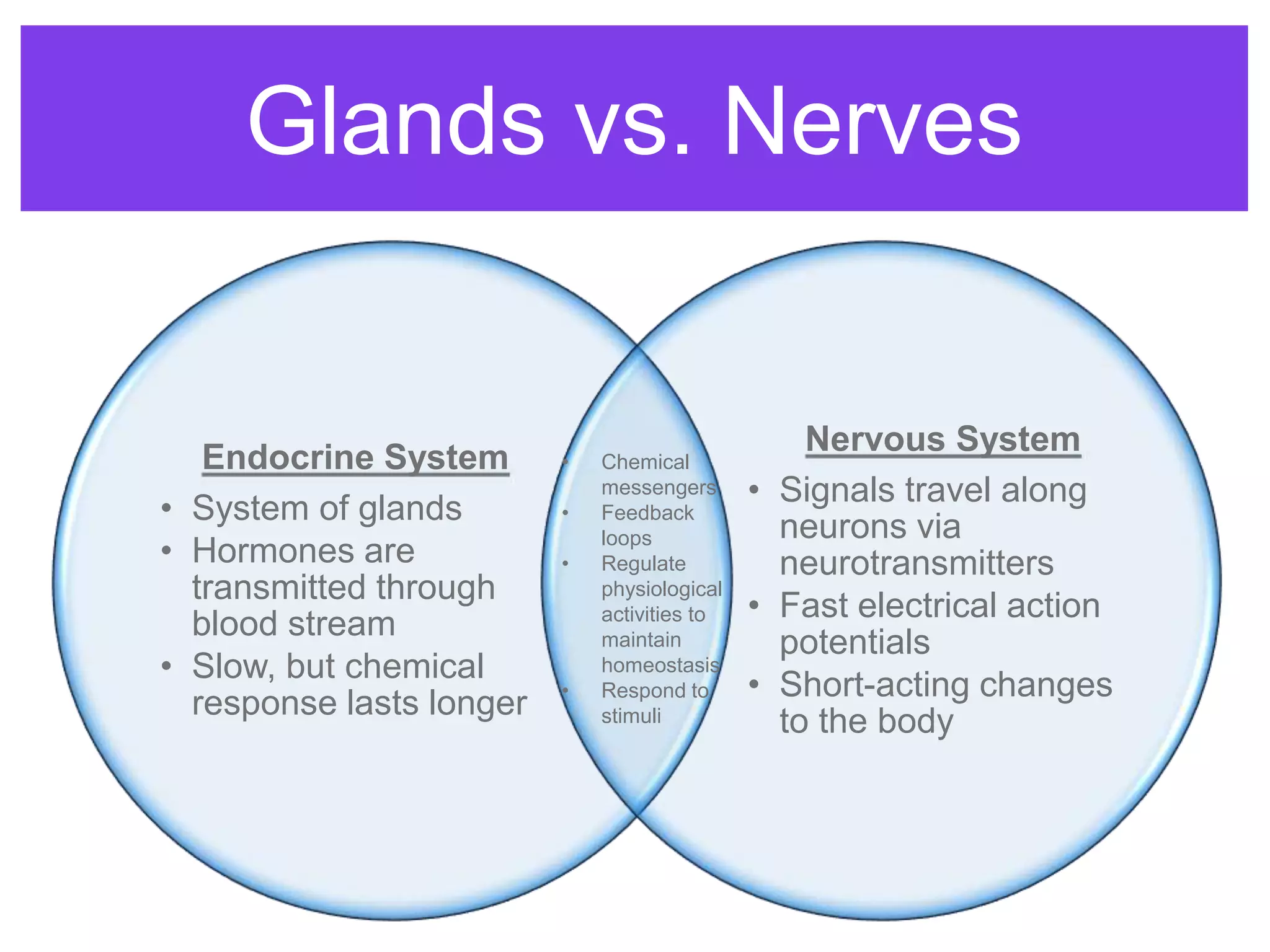 Endocrine system - endocrine v nervous system | PPTX | Endocrine and ...