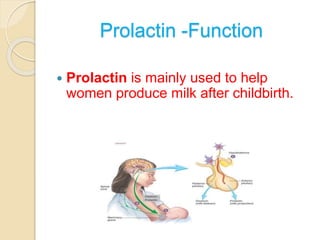 Pituitary gland | PPTX | Pregnancy | Reproductive Health
