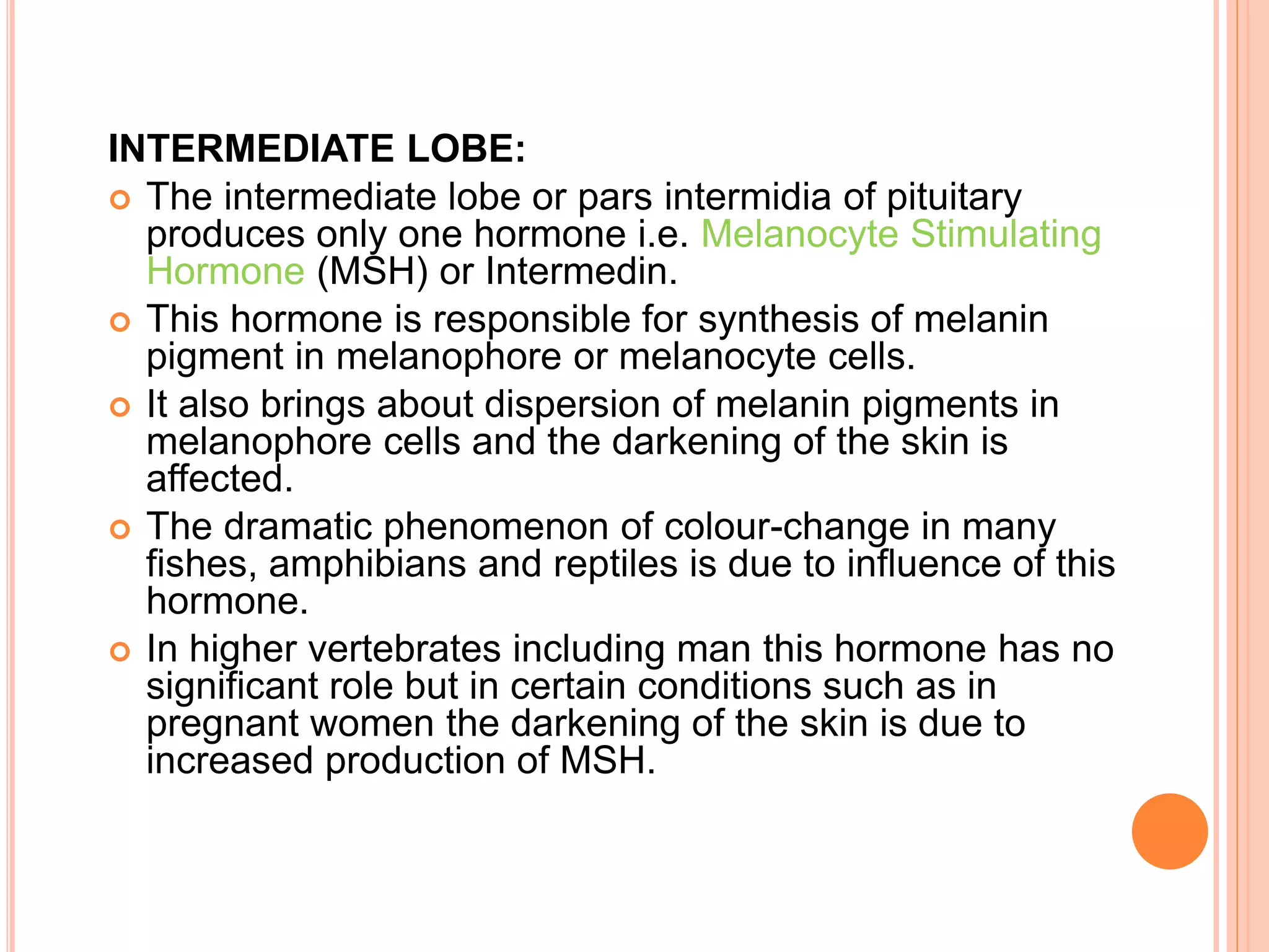 Endocrine system pituitary gland | PPTX