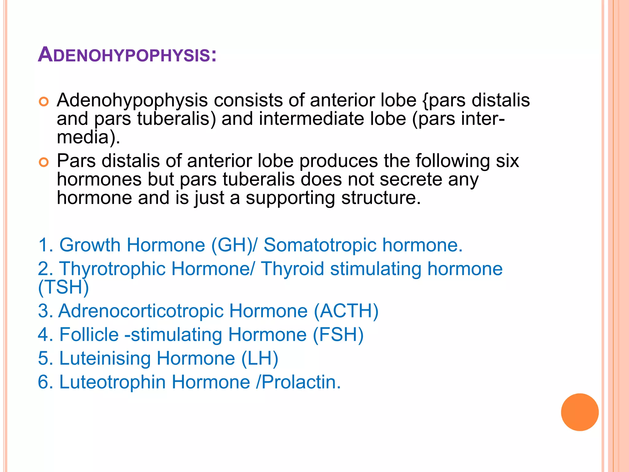 Endocrine system pituitary gland | PPTX