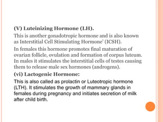 Endocrine system pituitary gland | PPTX
