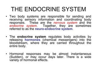 Endocrine System Hands On Activities