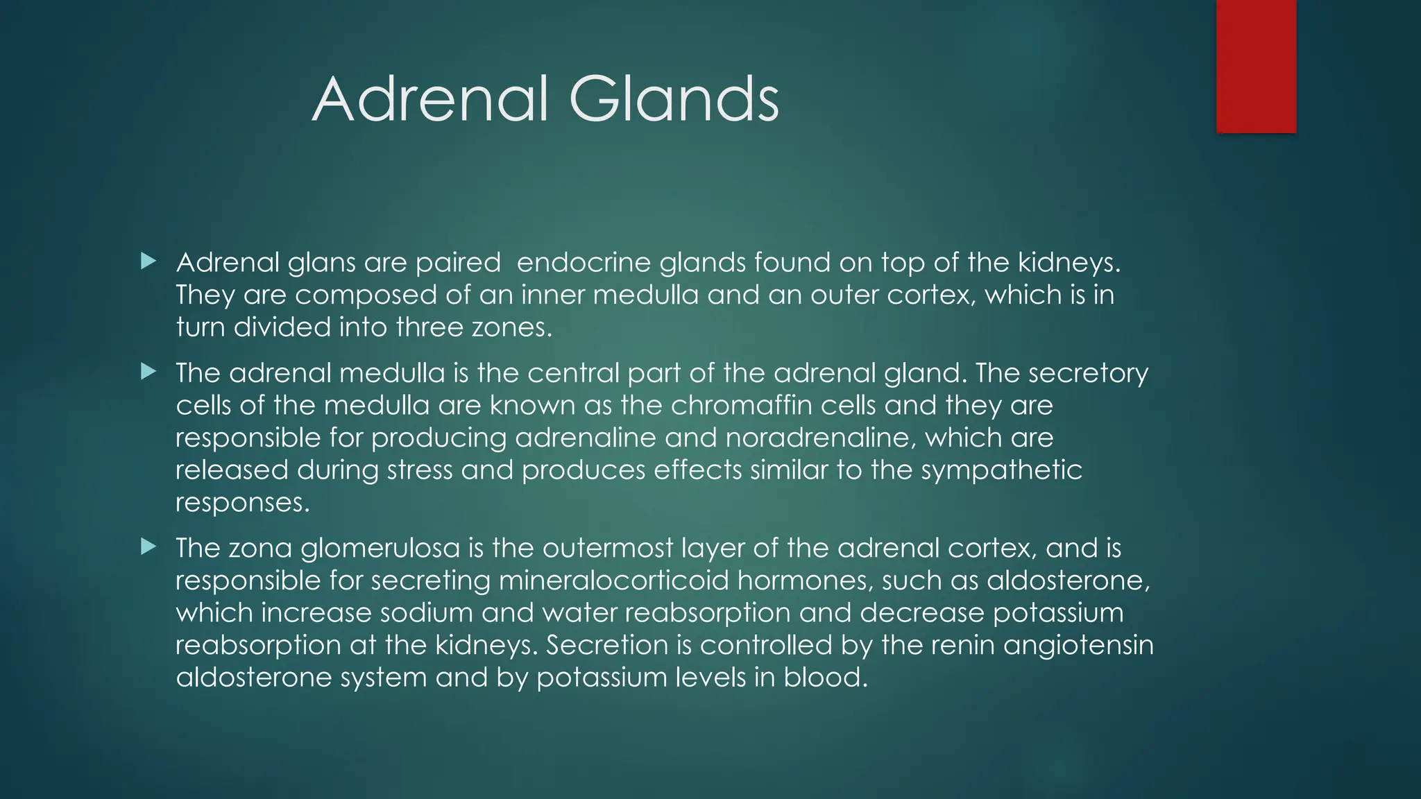 ENDOCRINE SYSTEM, ENDOCRINE GLANDS 1.pptx