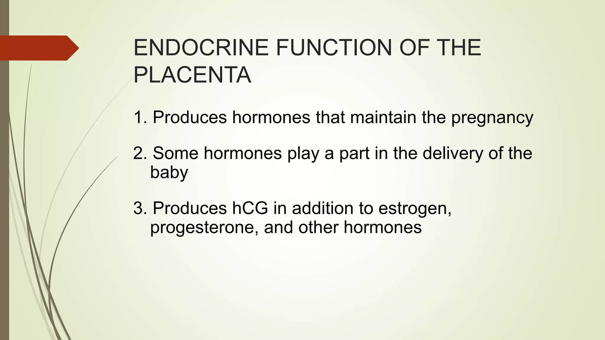 ENDOCRINE SYSTEM 10.pptx