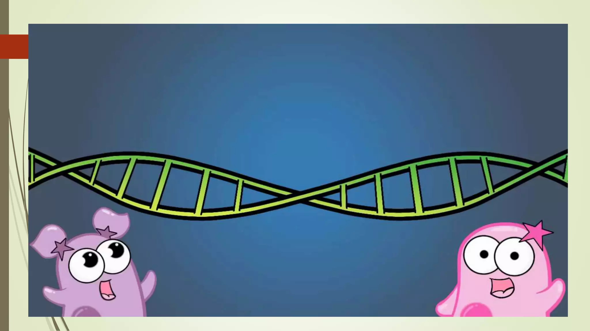ENDOCRINE SYSTEM 10.pptx