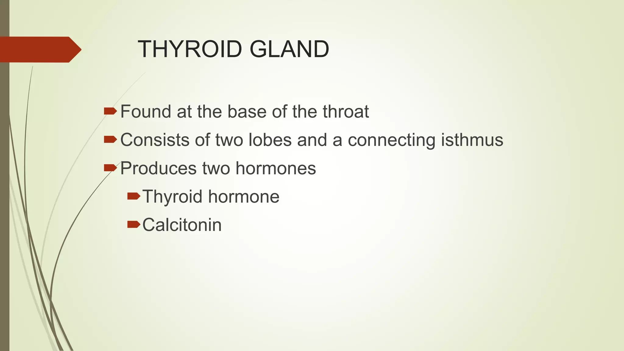 ENDOCRINE SYSTEM 10.pptx