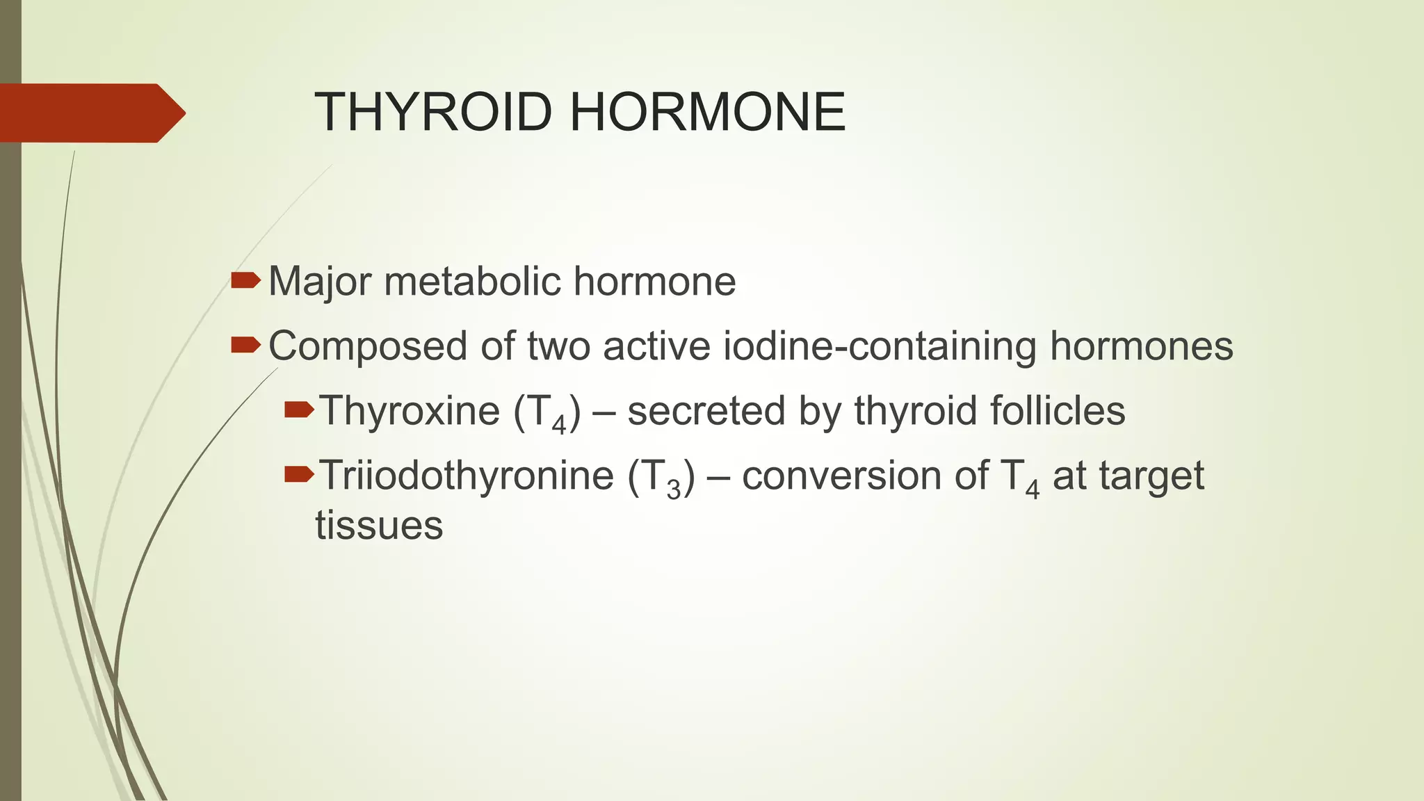 ENDOCRINE SYSTEM 10.pptx