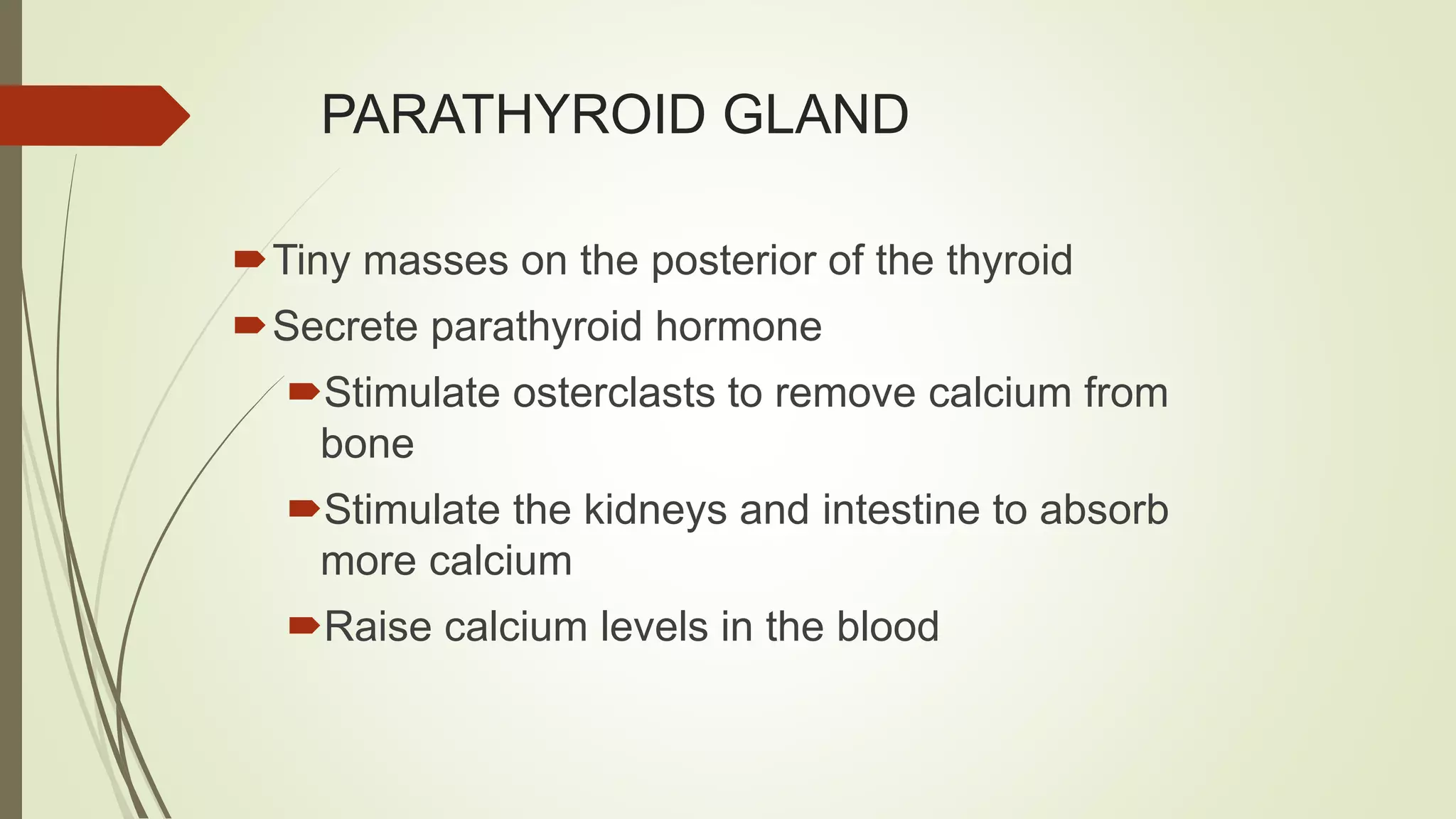ENDOCRINE SYSTEM 10.pptx