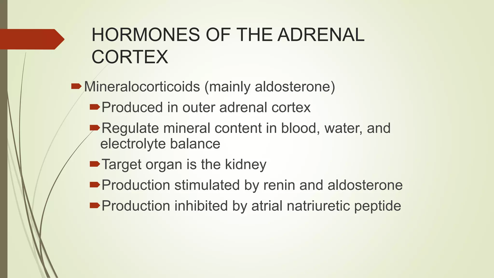 ENDOCRINE SYSTEM 10.pptx