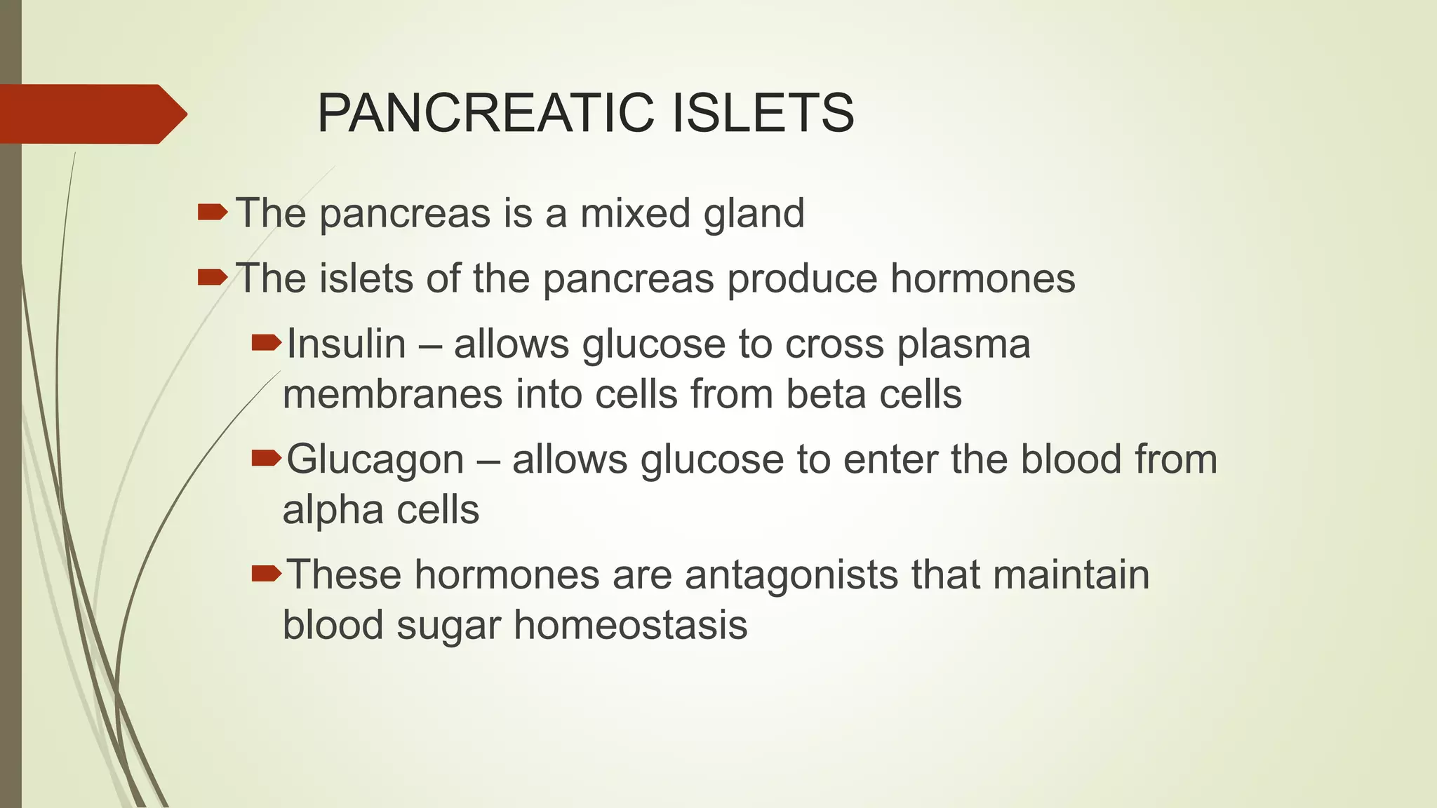 ENDOCRINE SYSTEM 10.pptx