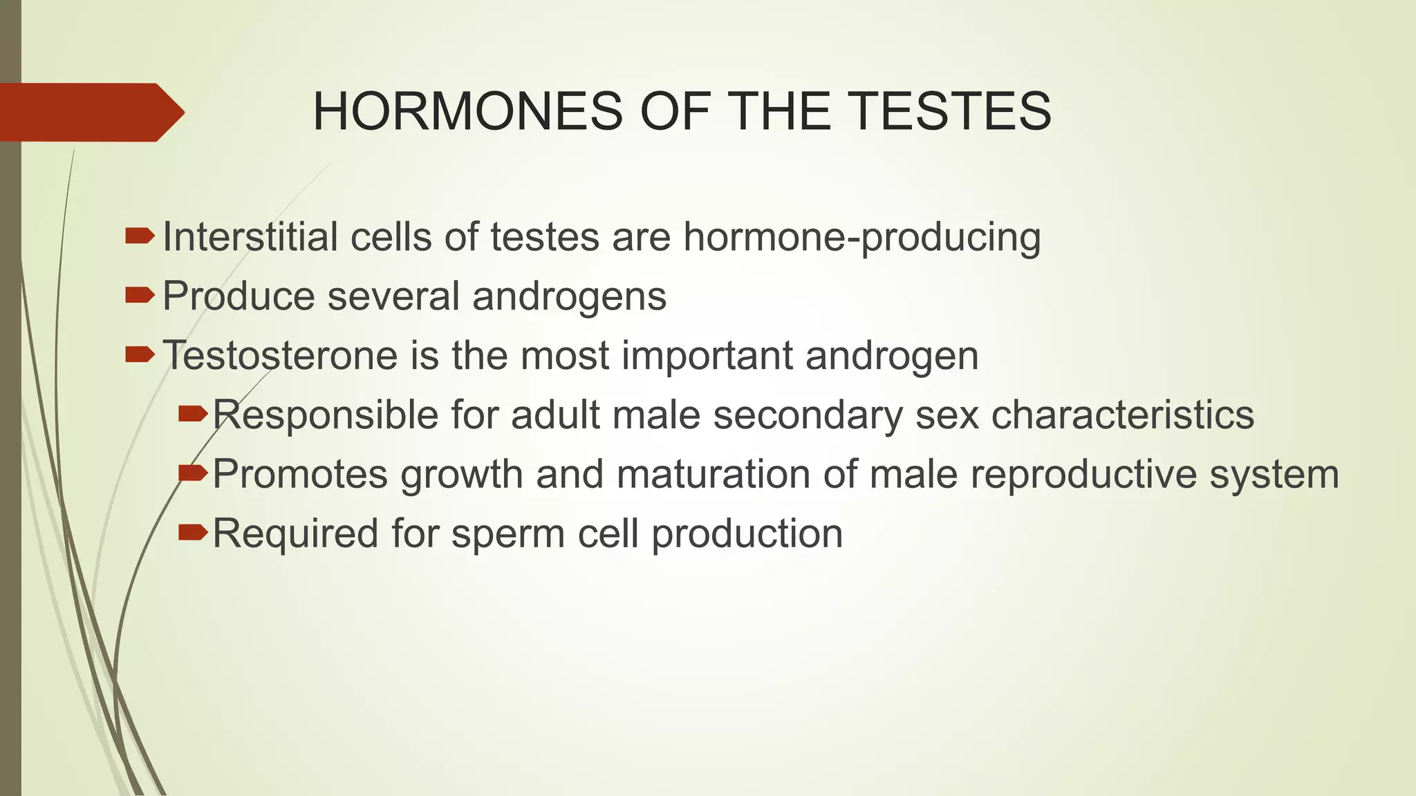 ENDOCRINE SYSTEM 10.pptx