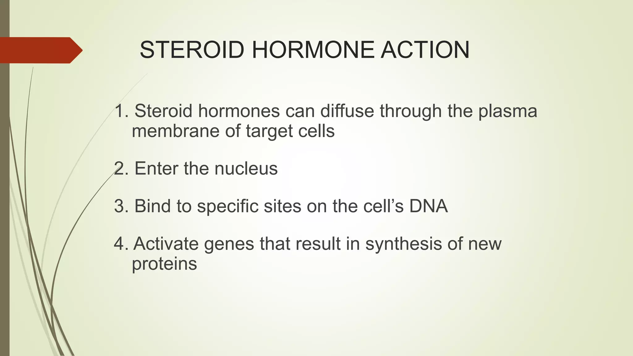 ENDOCRINE SYSTEM 10.pptx