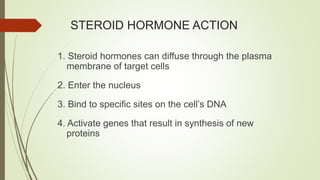 ENDOCRINE SYSTEM 10.pptx