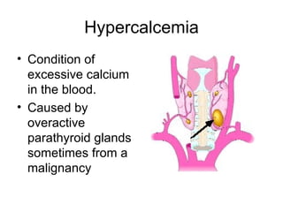 Endocrine System 11f | PPT