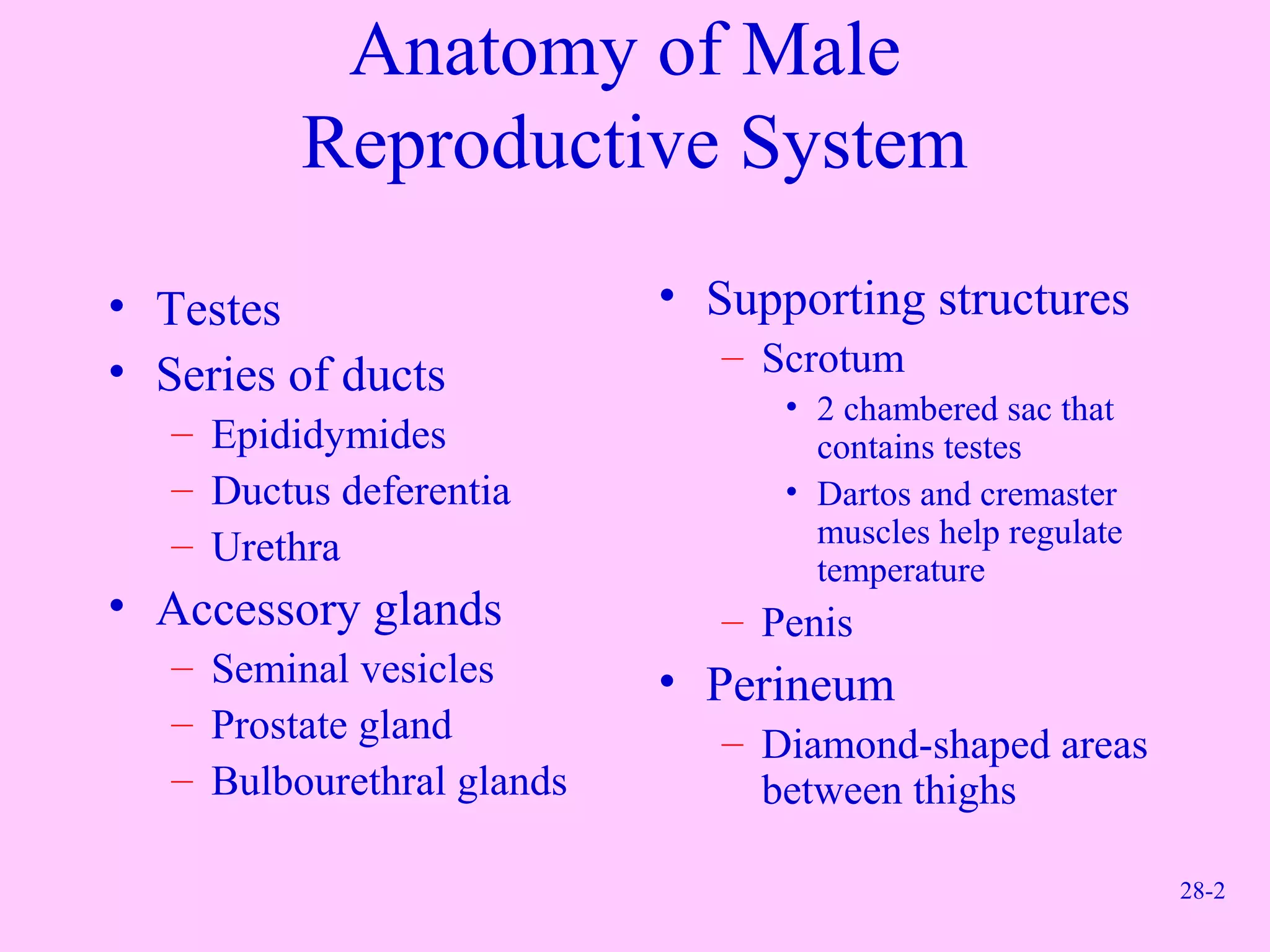 Endocrine System~5 | PPT