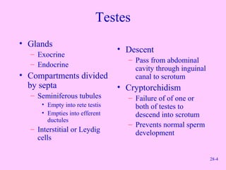 Endocrine System~5 | PPT