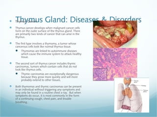 Endocrine System~6 | PPT