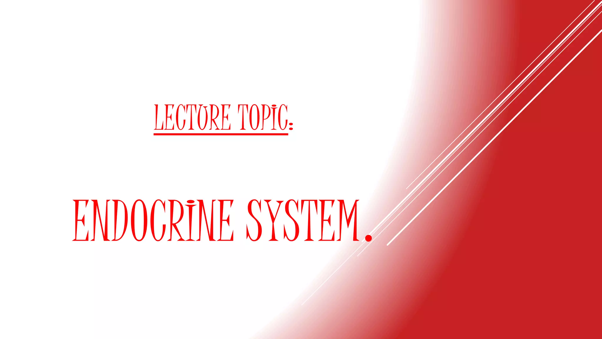Endocrine System Anatomy | PPTX