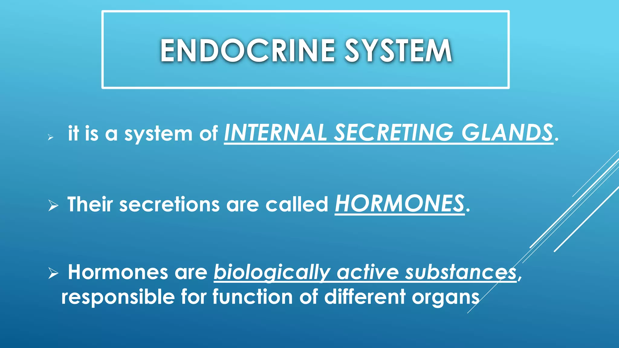 Endocrine System Anatomy | PPTX
