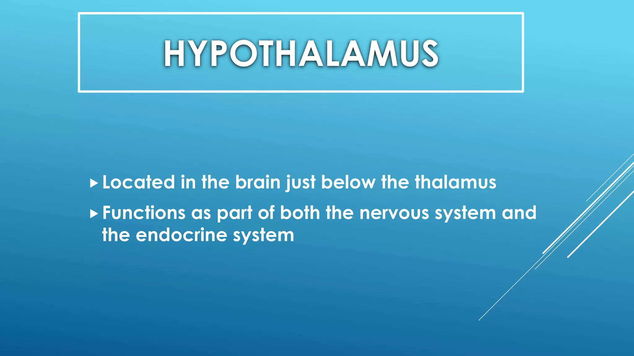 Endocrine System Anatomy | PPTX