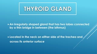 Endocrine System Anatomy | PPTX